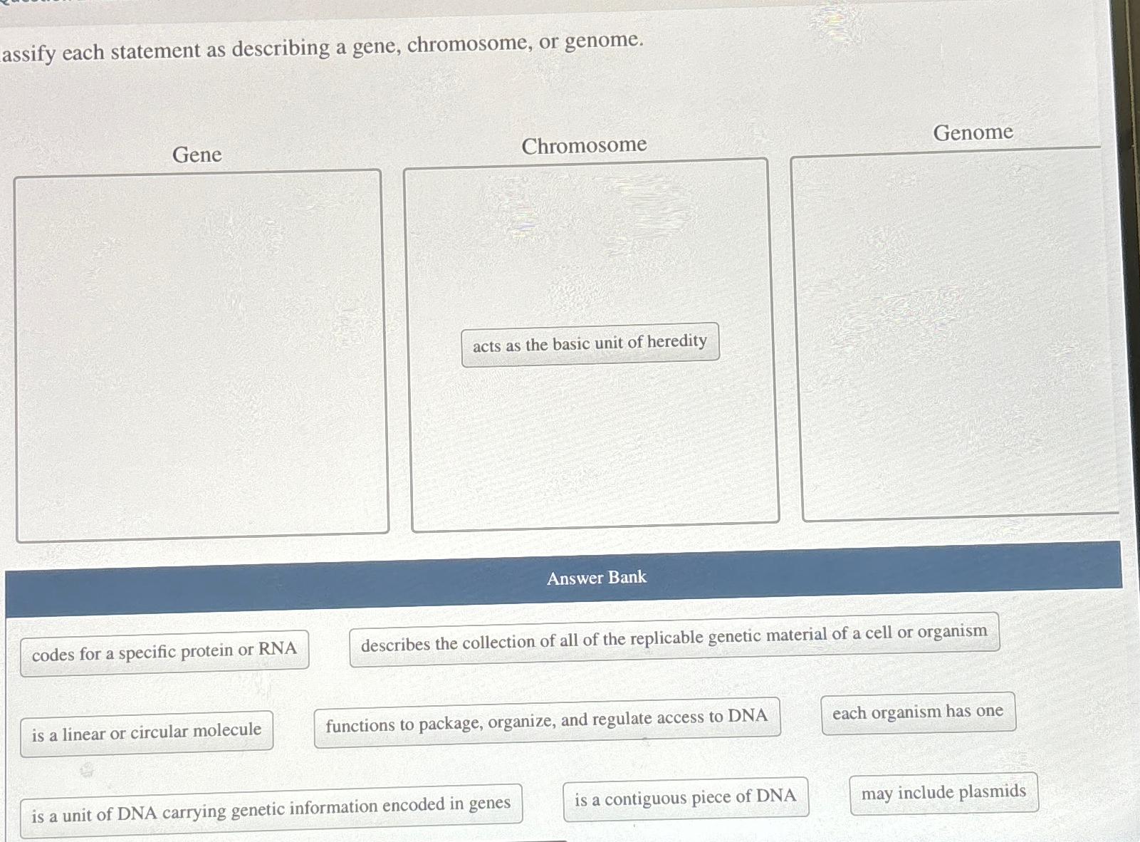 Solved assify each statement as describing a gene, | Chegg.com
