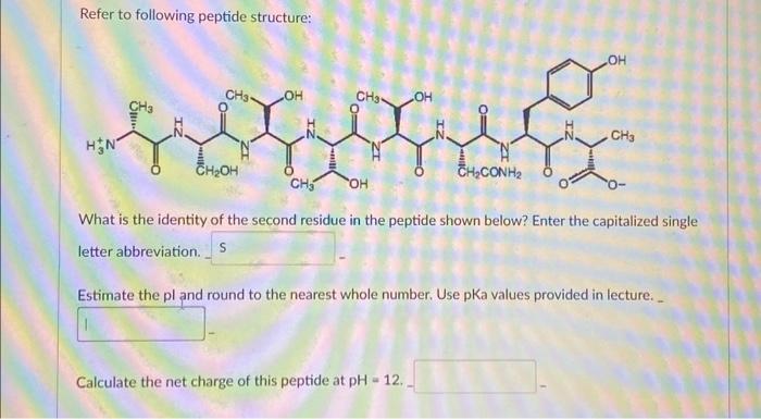 Solved Refer to following peptide structure: What is the | Chegg.com