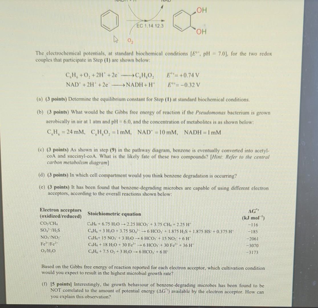 Solved 4. Benzene is a carcinogenic compound that is | Chegg.com