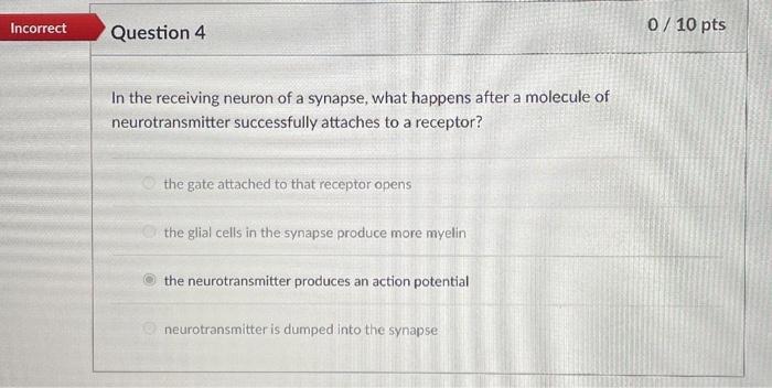 Solved In the receiving neuron of a synapse, what happens | Chegg.com