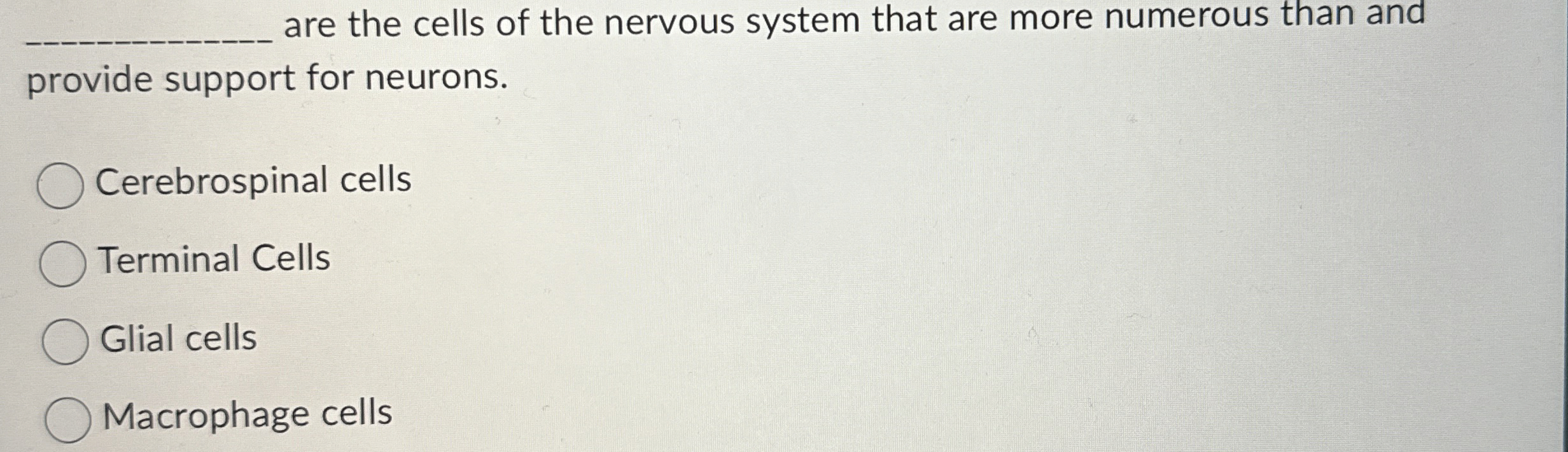 High Quality SOLUTION are the cells of the nervous system that are more | Chegg.com