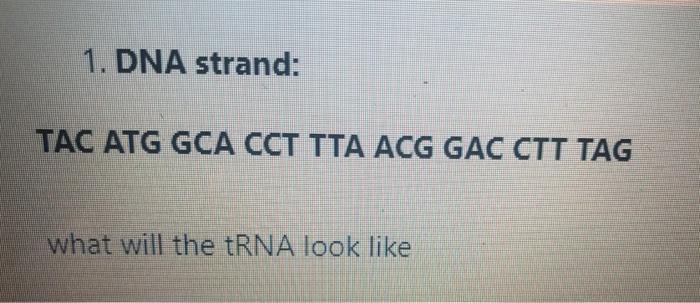 Solved 1. DNA strand: TAC ATG GCA CCT TTA ACG GAC CTT TAG | Chegg.com