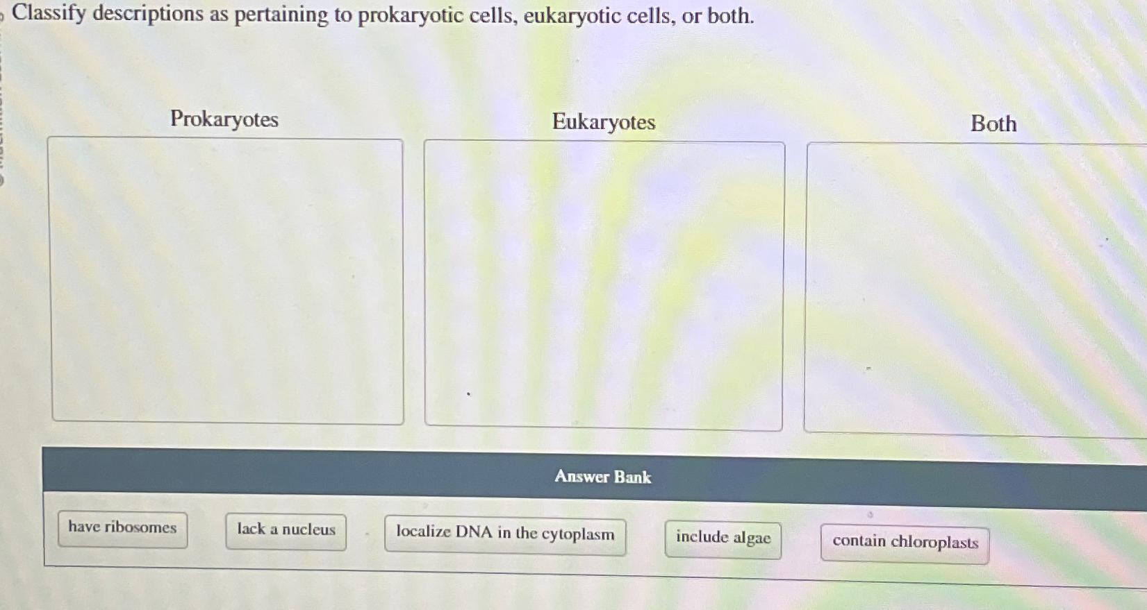 Solved Classify descriptions as pertaining to prokaryotic | Chegg.com
