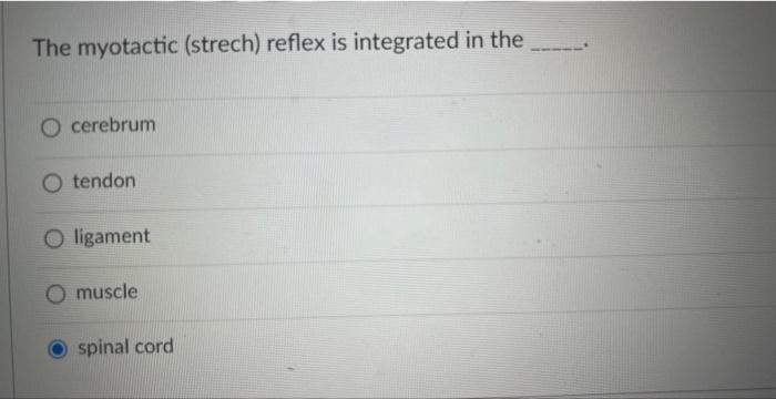 Solved The myotactic (strech) reflex is integrated in the | Chegg.com