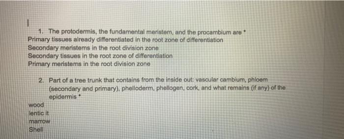 Solved 1 1. The protodermis, the fundamental meristem, and | Chegg.com