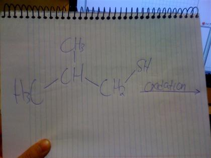 Solved draw the sulfur containing product of the following | Chegg.com