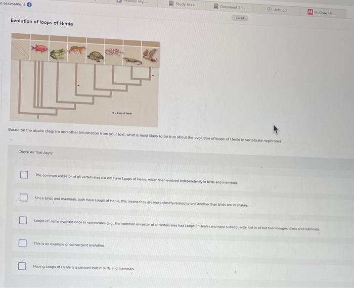 Solved Evolution of loops of Henle Based on the above | Chegg.com