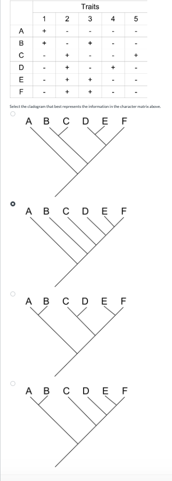 Solved Select the cladogram that best represents the | Chegg.com