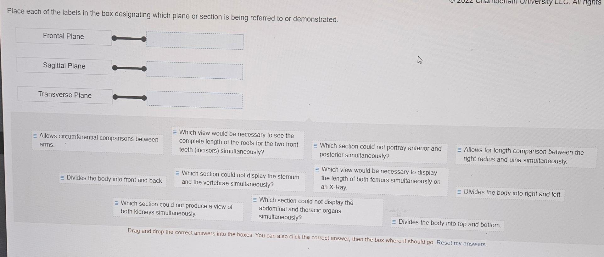 Solved Place each of the labels in the box designating which | Chegg.com