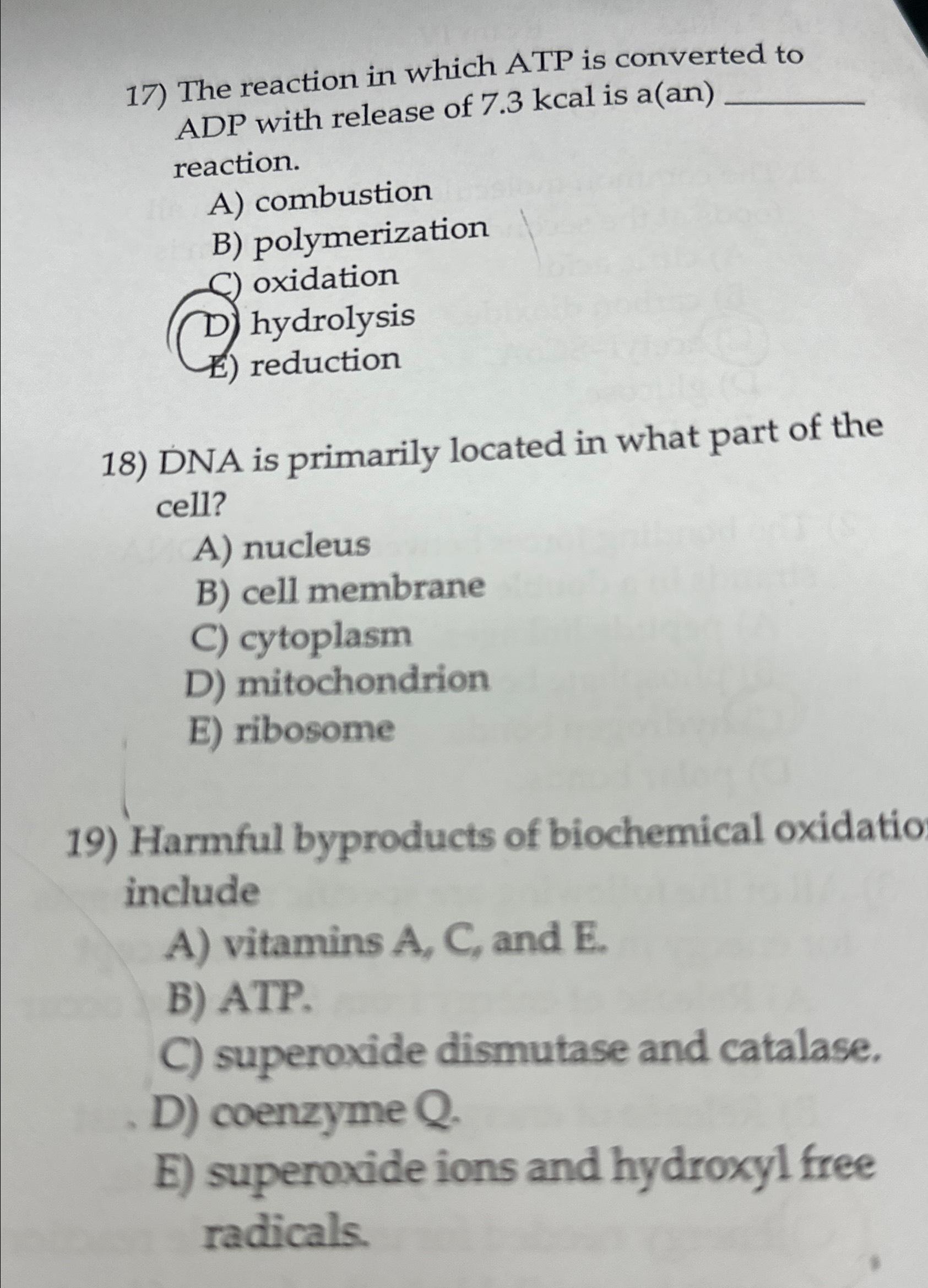Solved The reaction in which ATP is converted to ADP with | Chegg.com
