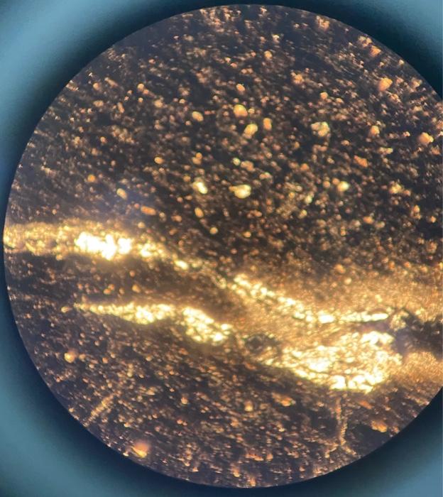 Solved prepare a detail thin section report on shale thin | Chegg.com