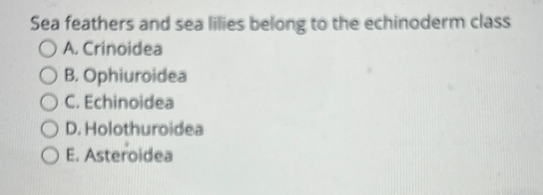 Solved Sea feathers and sea lilies belong to the echinoderm | Chegg.com