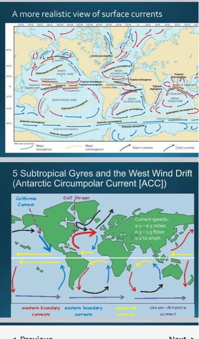 Solved Ocean gyres, large systems of circulating ocean | Chegg.com