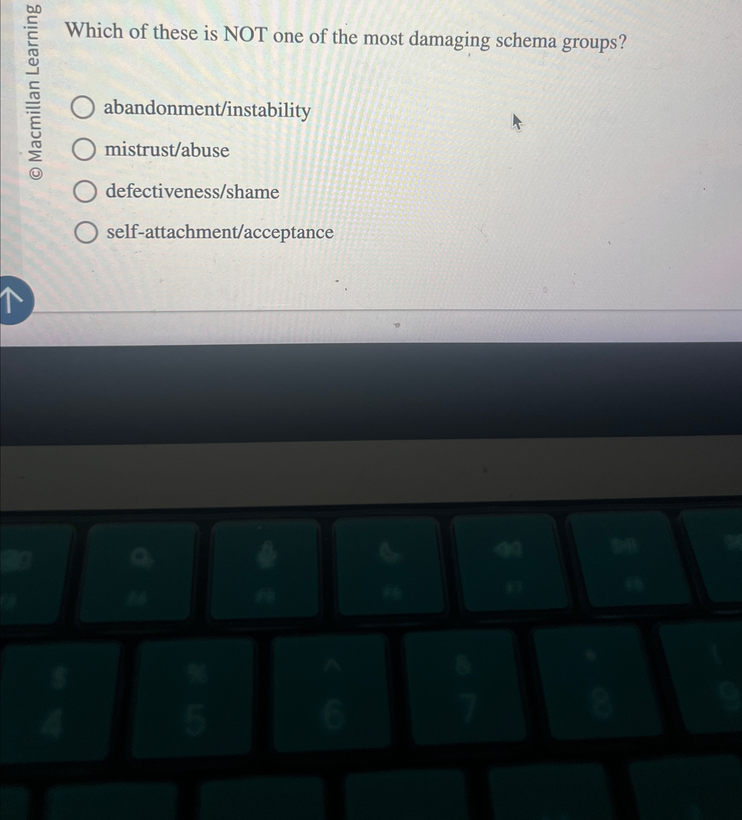 Solved Which of these is NOT one of the most damaging schema | Chegg.com