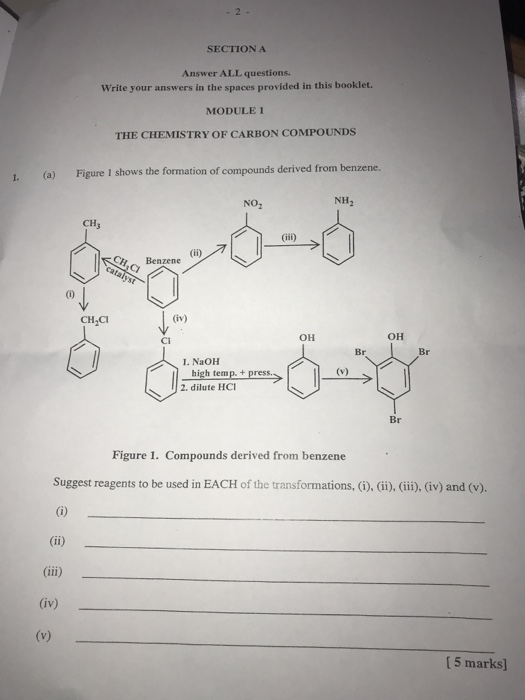 Solved Structures for the monosubstituted products formed | Chegg.com