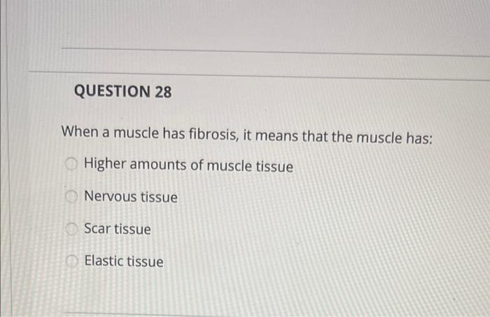 Solved QUESTION 28 When a muscle has fibrosis, it means that | Chegg.com