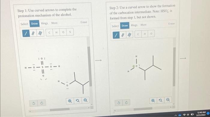 Solved Step 1: Use curved arrows to complete the protonation | Chegg.com