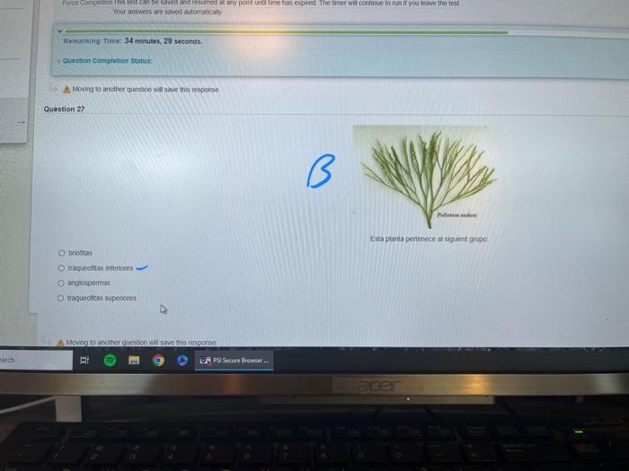 Solved these in photo A are:structures where spores are | Chegg.com