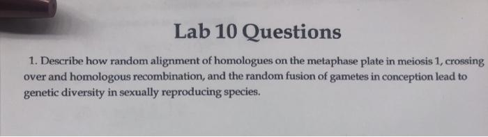 Solved Lab 10 Questions 1. Describe how random alignment of | Chegg.com