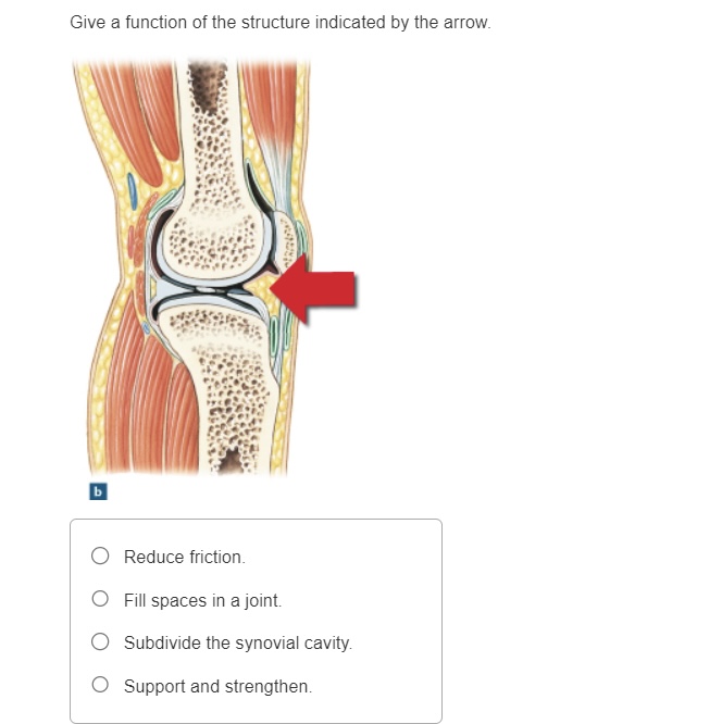 Solved Give a function of the structure indicated by the | Chegg.com