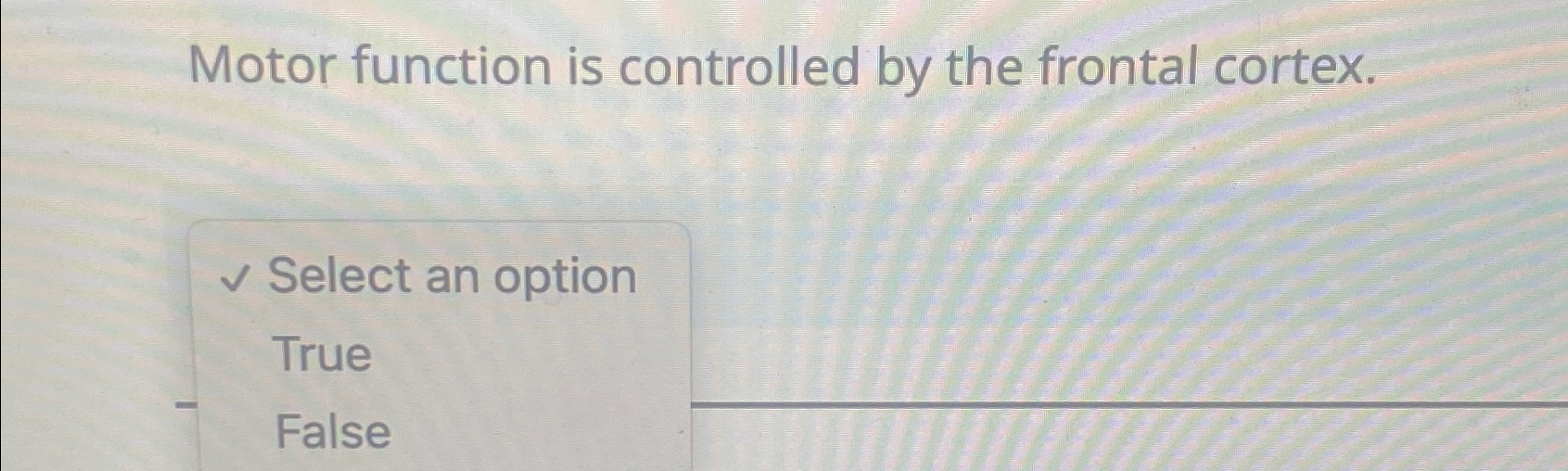 Solved Motor function is controlled by the frontal cortex. | Chegg.com