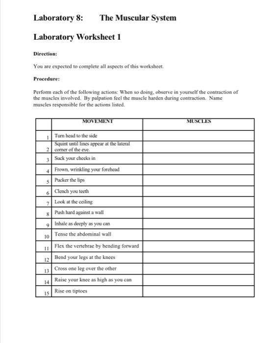Solved Laboratory 8: The Muscular System Laboratory | Chegg.com
