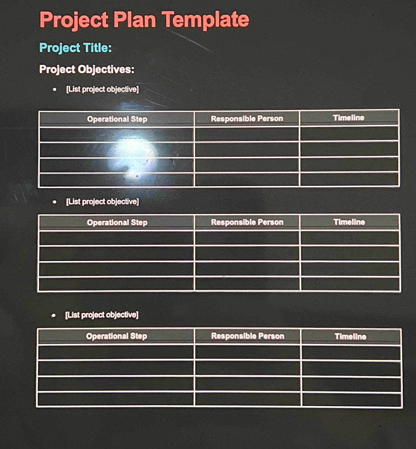 For Walt Disney World Comapny Project Plan | Chegg.com