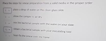 Solved Alase the stegs for smear preparation from a solid | Chegg.com