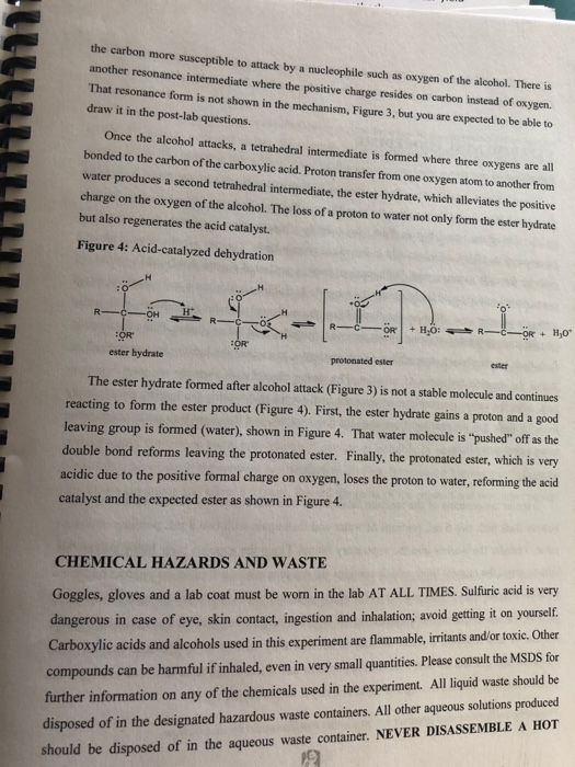 Solved EXPERIMENT 10 FISCHER ESTERIFICATION: SYNTHESIS OF AN | Chegg.com