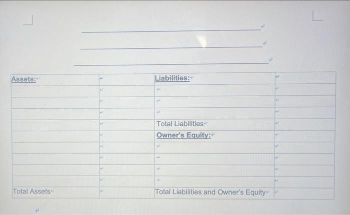 Solved Activity 1: The Balance Sheet Questions: Identify the | Chegg.com