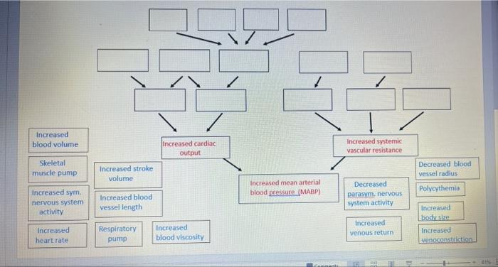 Solved This activity involves a concept map on factors | Chegg.com
