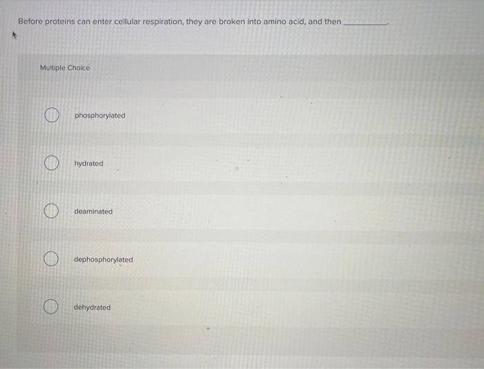 Solved Monomers are linked together by removing a from one | Chegg.com