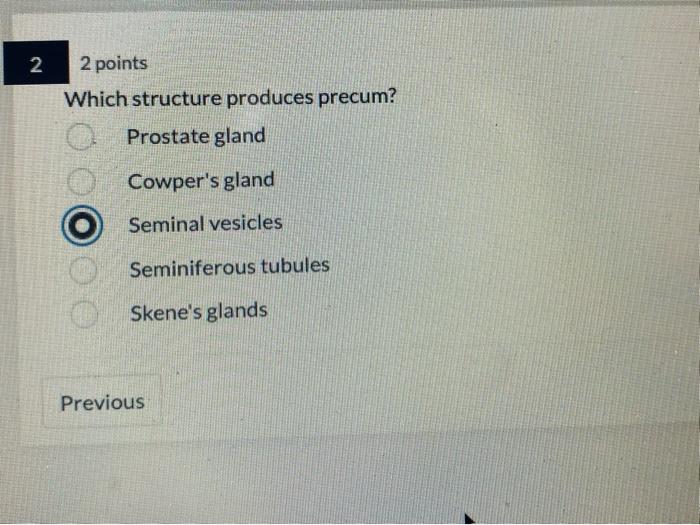 Solved 2 2 points Which structure produces precum? Prostate | Chegg.com