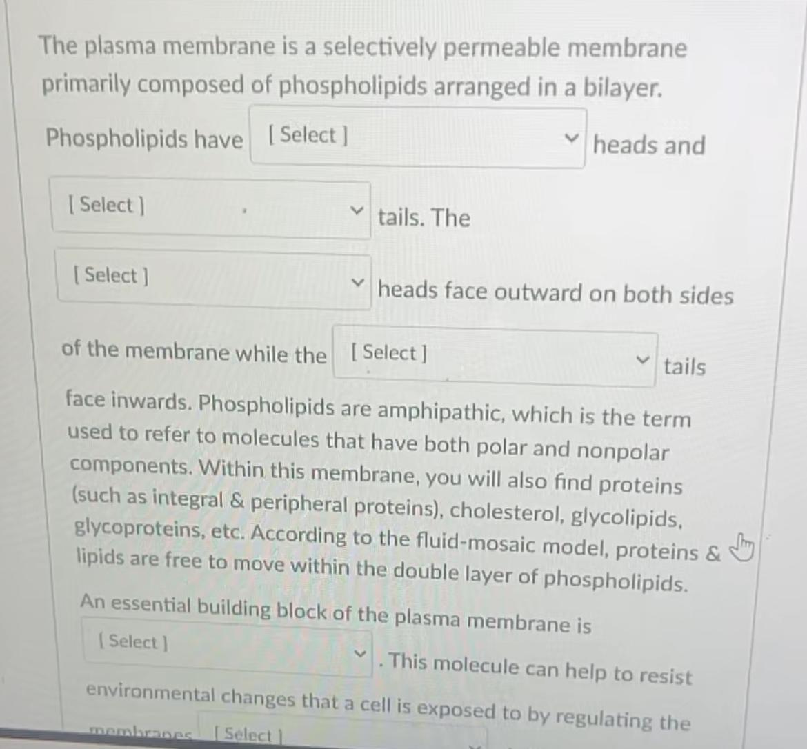 Solved The plasma membrane is a selectively permeable | Chegg.com