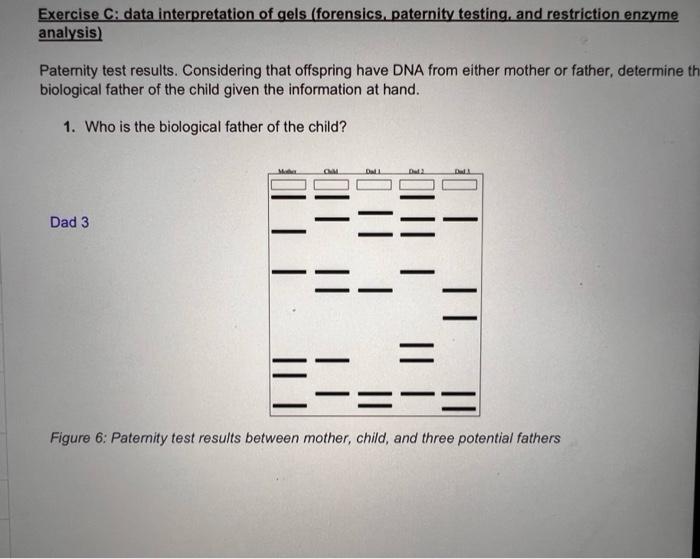 Solved the answer key is dad 3. Can you explain why dad 3 is | Chegg.com