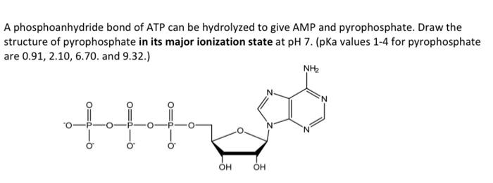 Solved A phosphoanhydride bond of ATP can be hydrolyzed to | Chegg.com