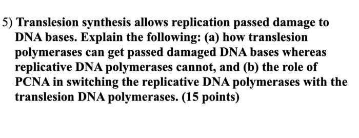 Solved 5) Translesion synthesis allows replication passed | Chegg.com