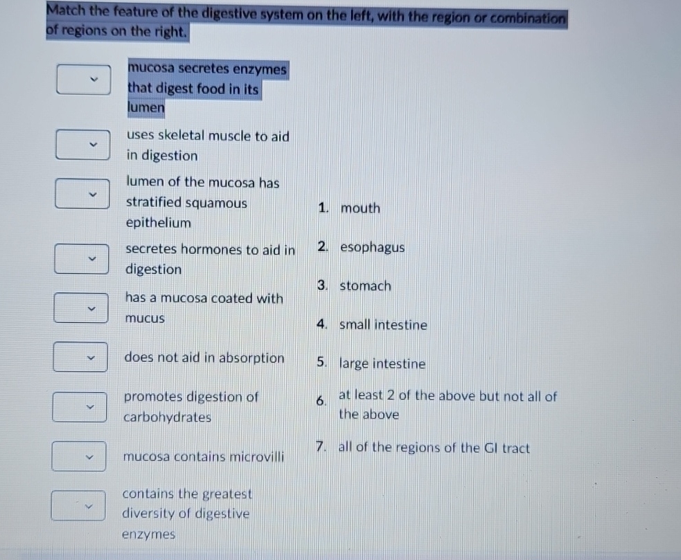 Solved Match the feature of the digestive system on the | Chegg.com