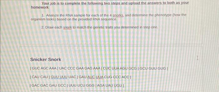 Solved DNA, RNA, and Snorks Introduction: In this activity, | Chegg.com