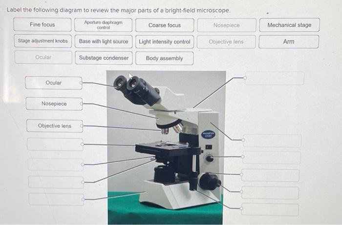 Solved Label the following diagram to review the major parts | Chegg.com