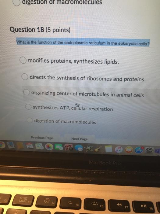 Solved digestion of macromolecules Question 18 (5 points) | Chegg.com