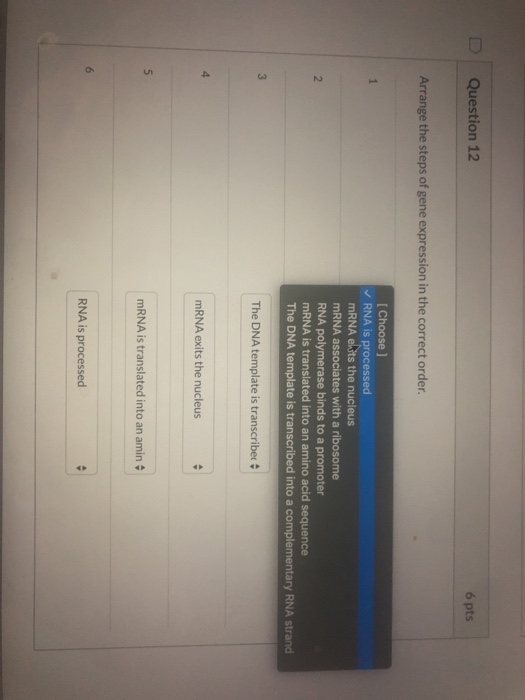 Solved Question 12 6 pts Arrange the steps of gene | Chegg.com
