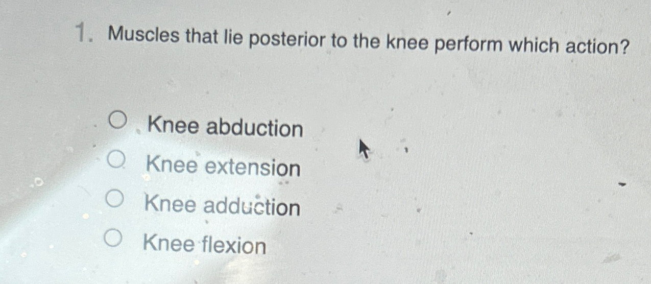 Solved Muscles that lie posterior to the knee perform which | Chegg.com