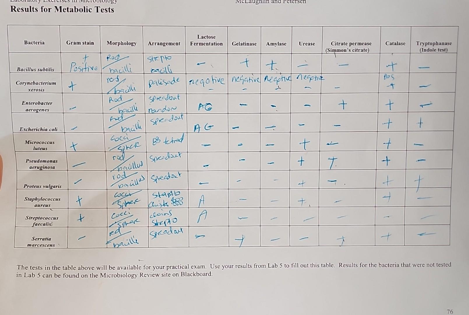 Dichotomous Key for Bacterial Unknowns Use the | Chegg.com