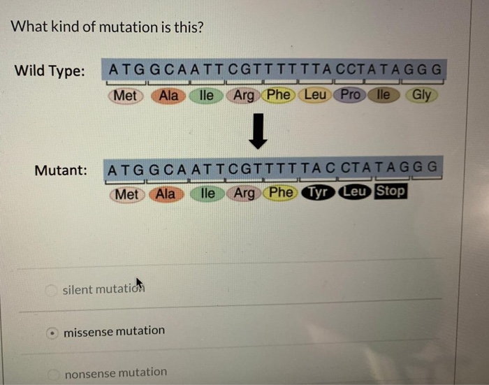Solved What kind of mutation is this? Wild Type: | Chegg.com