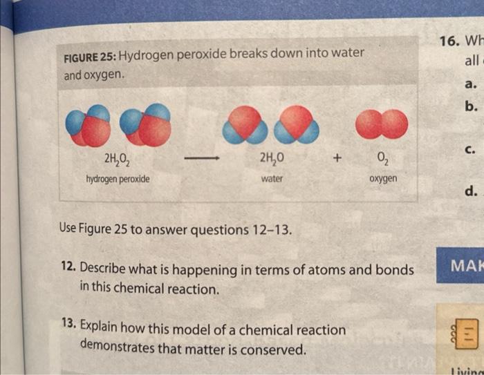 Solved FIGURE 25: Hydrogen peroxide breaks down into water | Chegg.com