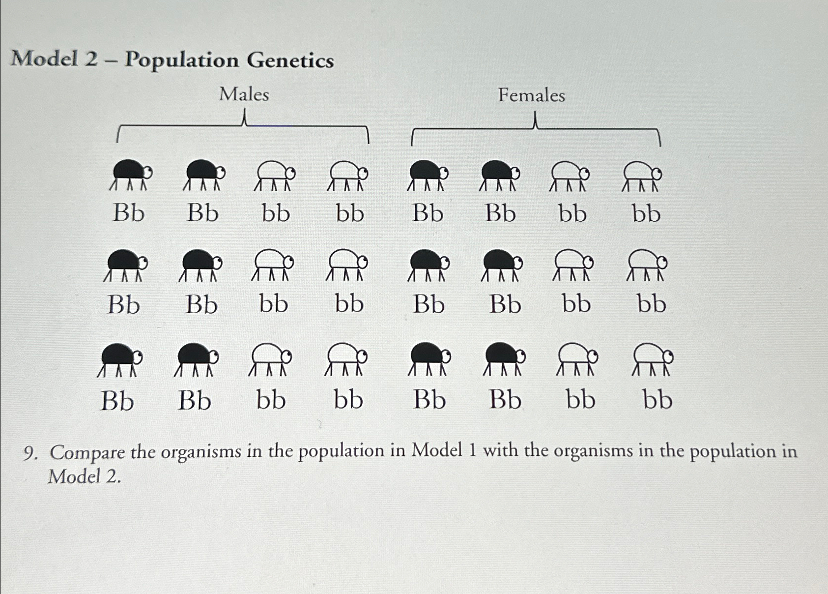 Solved Model 2 - ﻿Population Genetics9. ﻿Compare the | Chegg.com