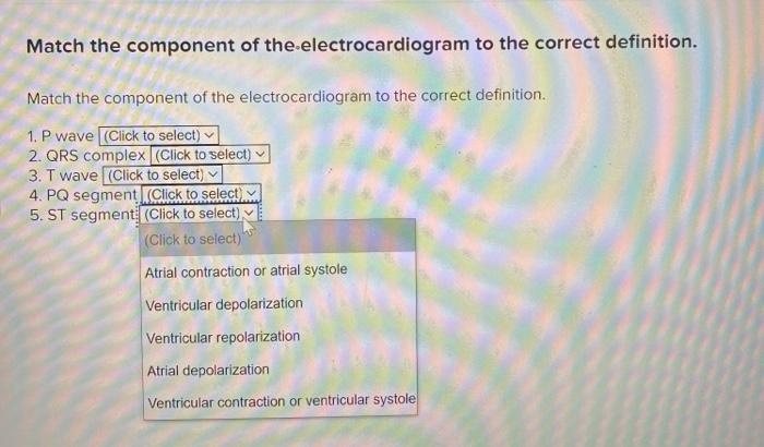 Solved Match the component of the electrocardiogram to the | Chegg.com