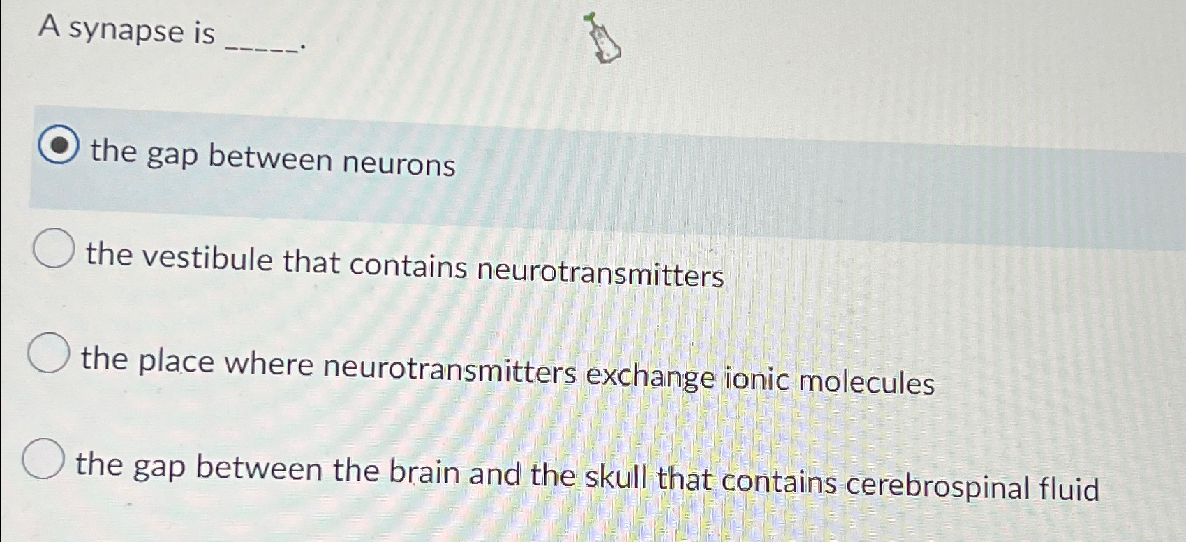 Solved A synapse isthe gap between neuronsthe vestibule that | Chegg.com