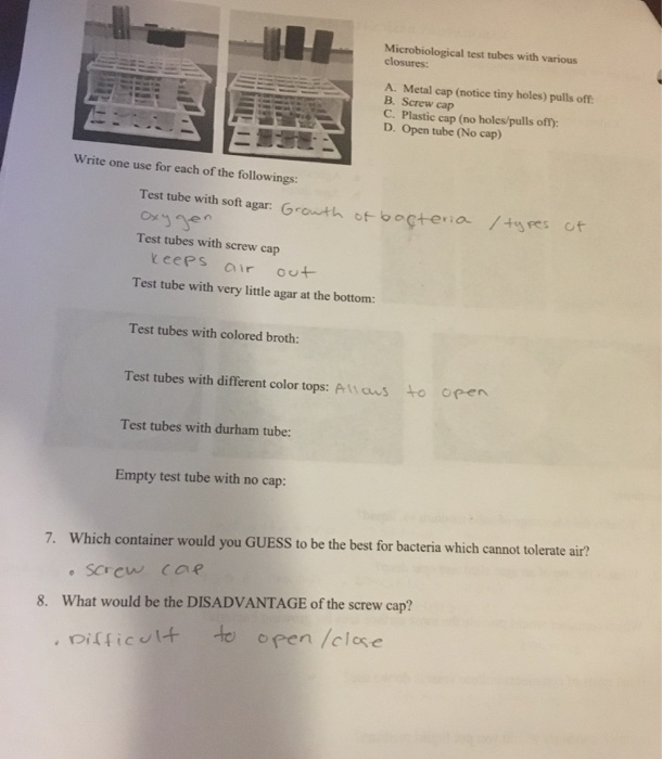 Solved Write one use for each of the following:Test tubes | Chegg.com